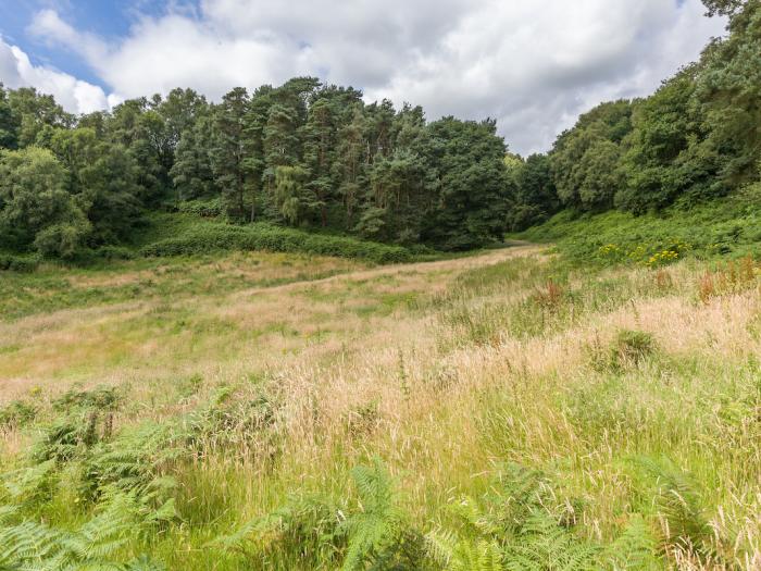 Sandstone Ridge Trust - Landscape