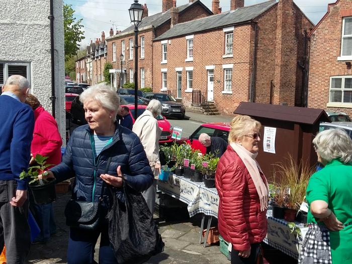 Tarvin Online - - Tarvin's Plant Sale 2023 - an appeal.