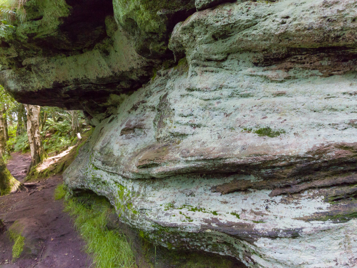Sandstone Ridge Trust | Discover the Cheshire Sandstone Ridge